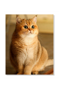 Poster - Print on Demand & Fulfillment Service